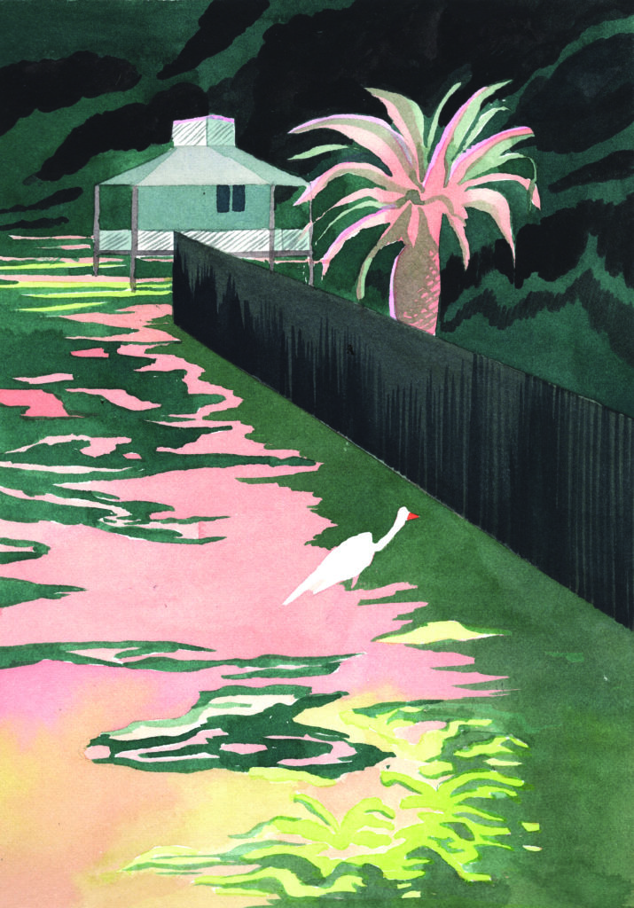 Eleanor Taylor - Kiblind